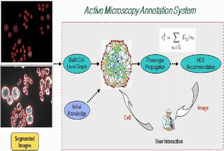 Microscopic Image Annotation and
