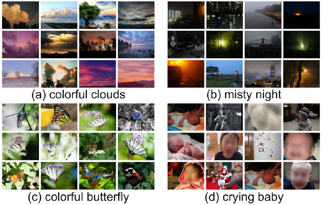 Selected Flickr images for four sample ANPs