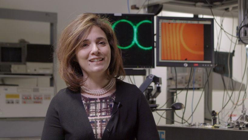 Michal Lipson Awarded National Academy of Sciences’ Comstock Prize in ...