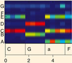 Supervised Chord Recognition for Music Audio in Matlab
