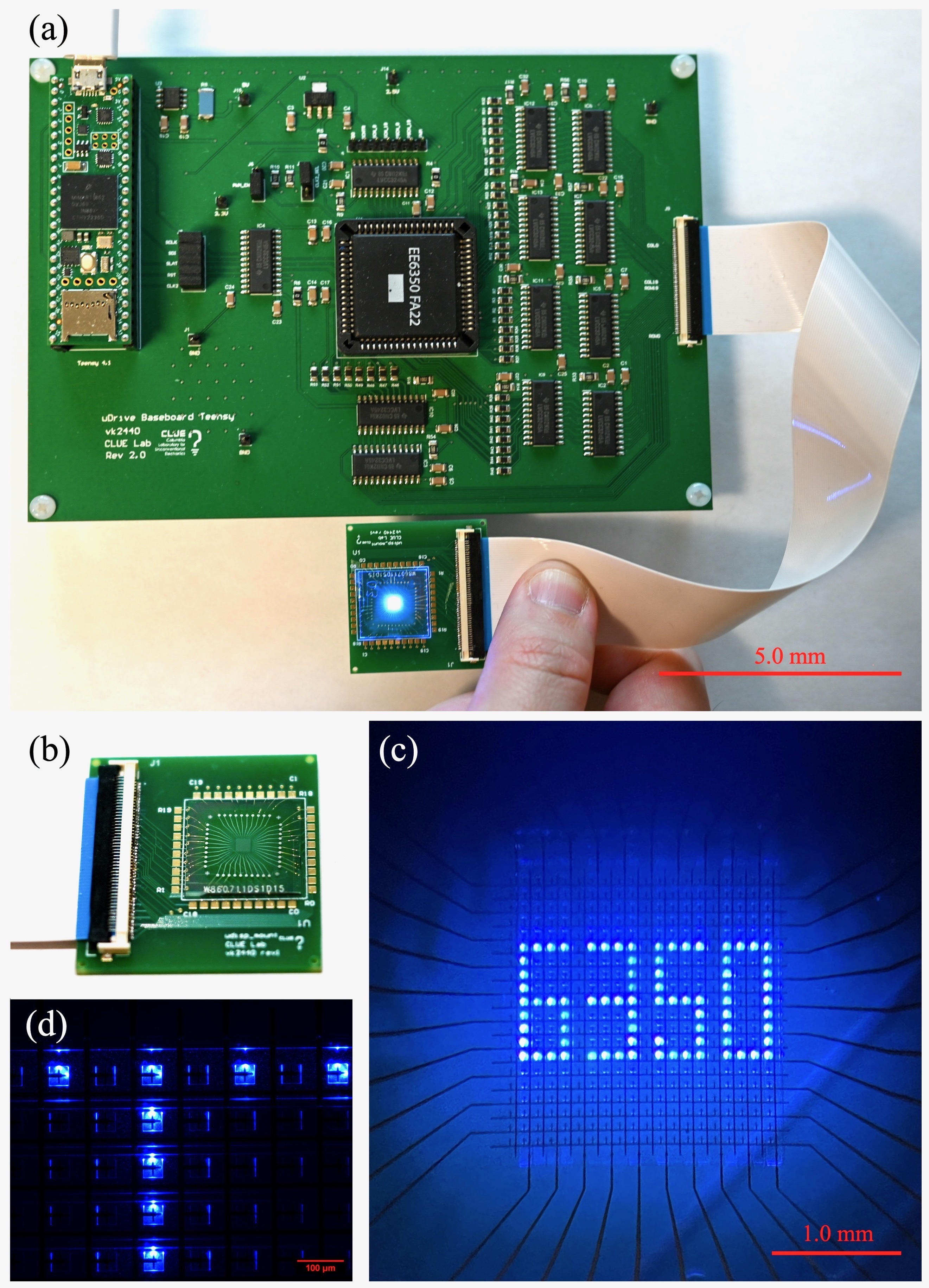 Demonstration using a custom microdisplay